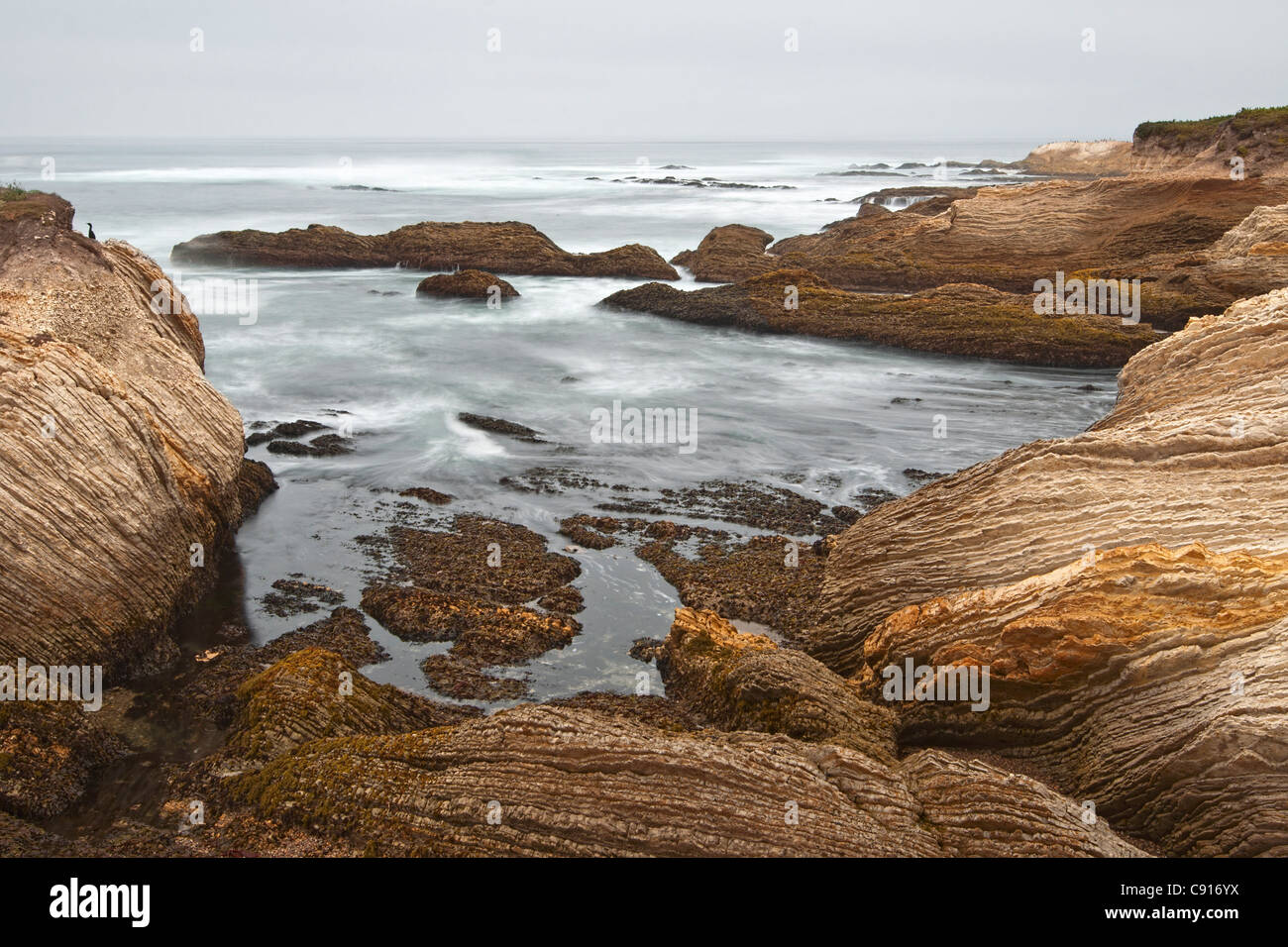 The jagged rocks and cliffs of Montana de Oro State Park in California ...
