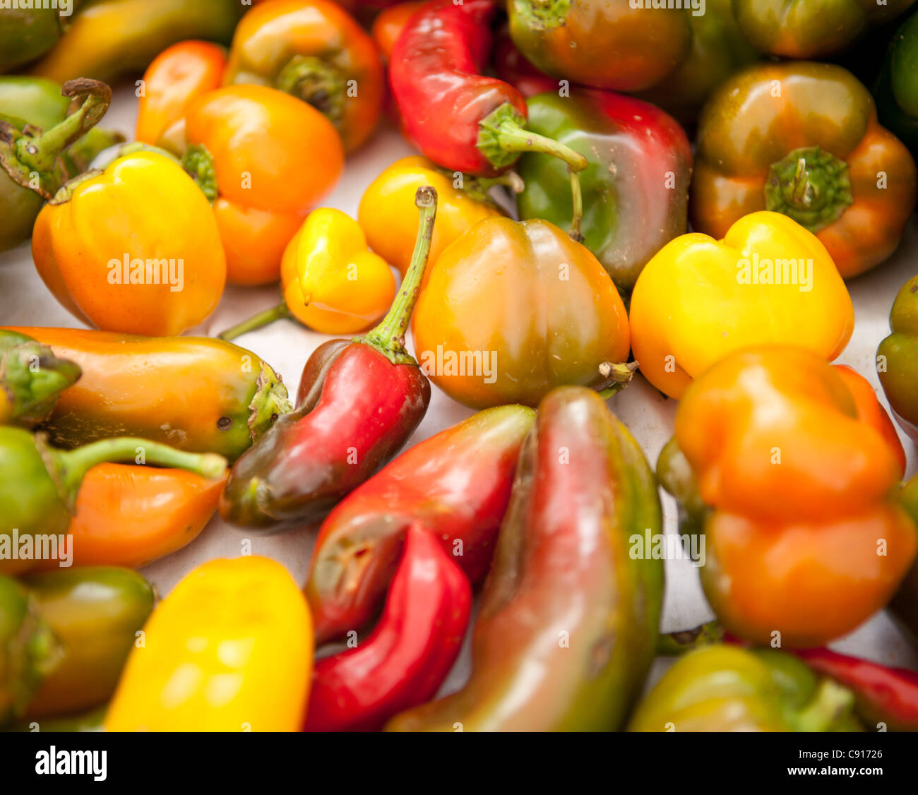 Union Square Organic Farmers markets offers a dazzling array of home ...