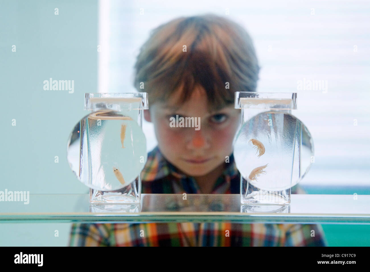 Observation is a very powerful educational tool and children are ...