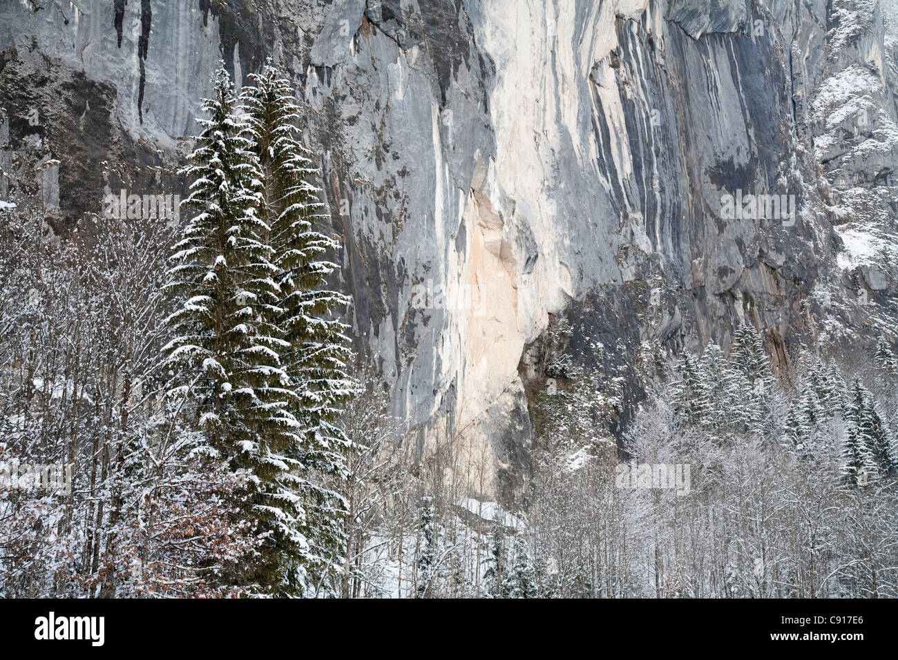 Lake Toplitz is a high mountain lake which freezes in winter. It was ...