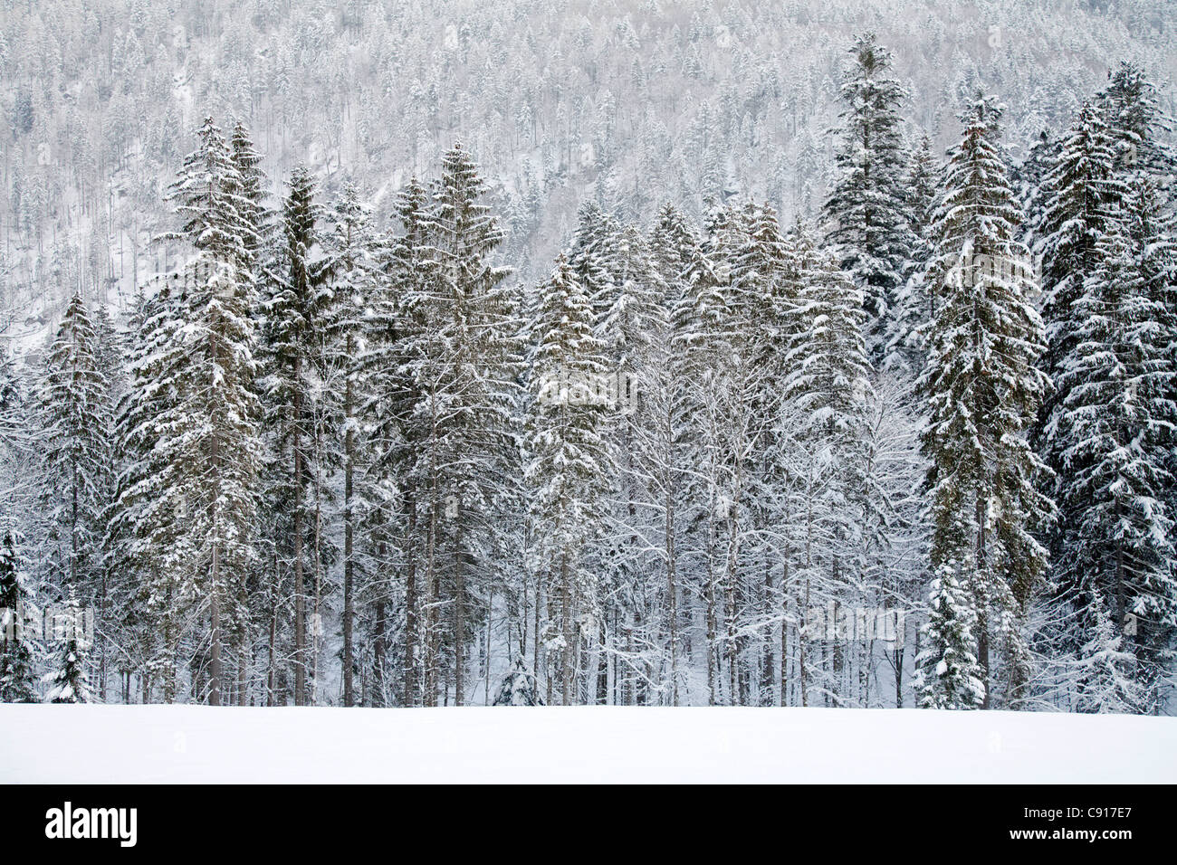 Bad aussee austria winter hi-res stock photography and images - Alamy