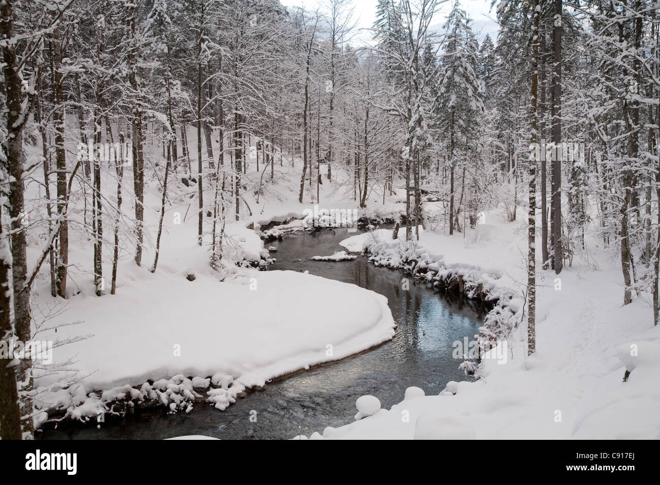 Lake Toplitz is a high mountain lake which freezes in winter. It was ...