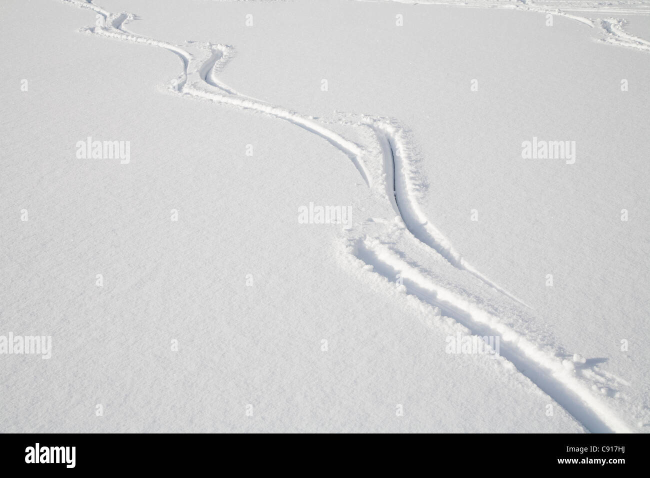 People and animals leave tracks in the snow whch are often very ...