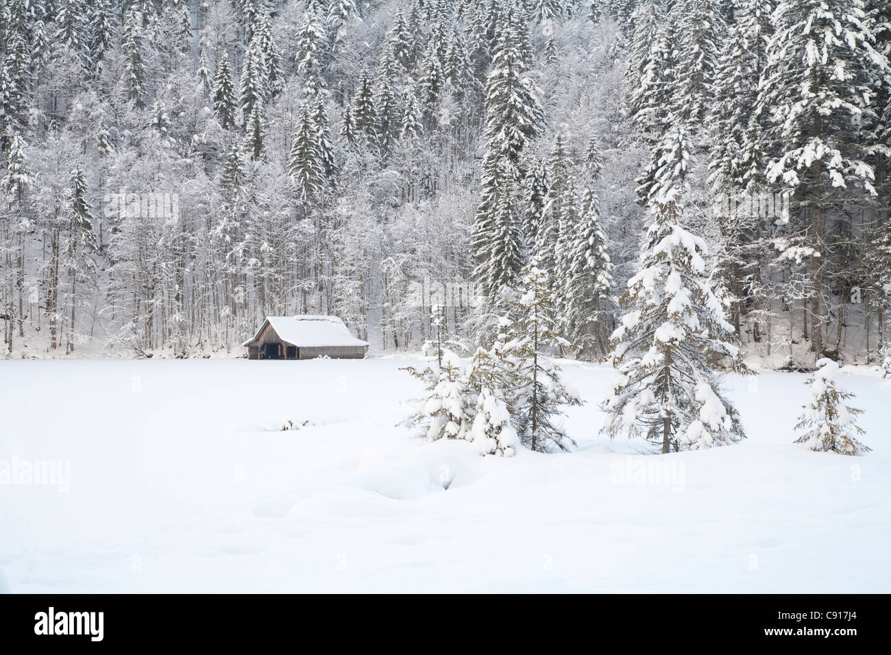 Lake Toplitz is a high mountain lake which freezes in winter. It was ...