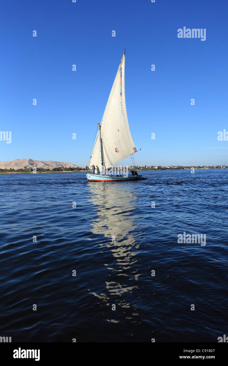Feluccas are traditional wooden sailing boats with a distinctive rig ...
