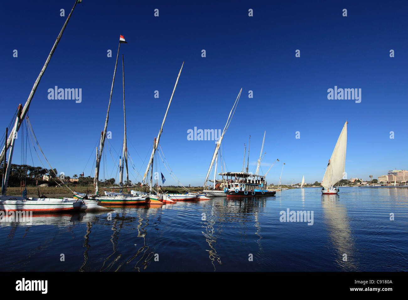 Feluccas are traditional wooden sailing boats with a distinctive rig ...