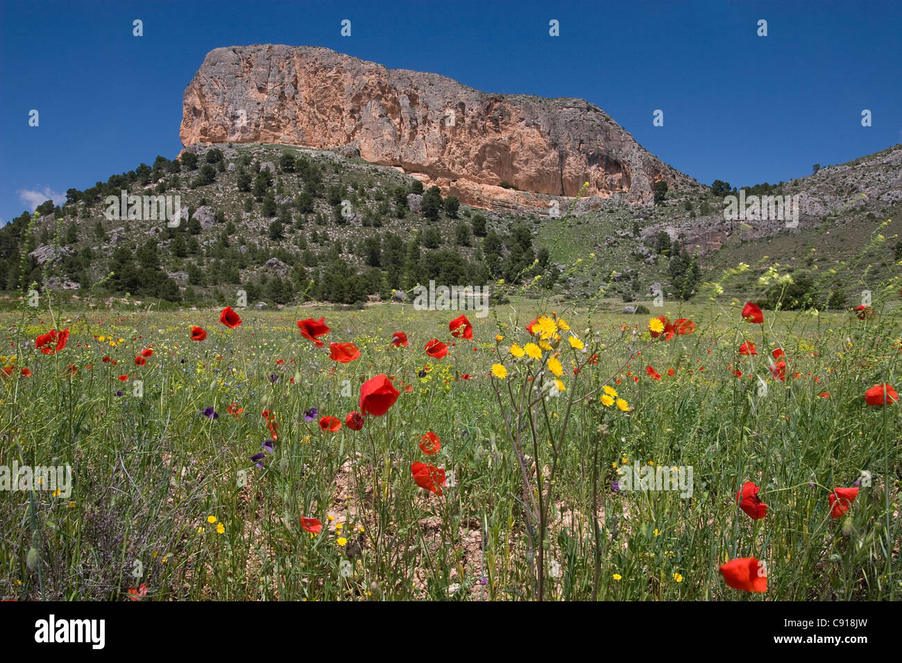 Penarrubia or Ruby Rock is a landmark rock outcrop overlooking the wild ...