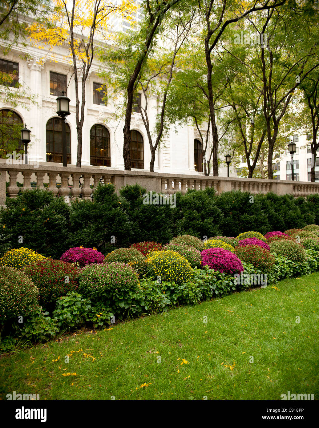 The flower beds outside the New York library offer a colourful autumn ...