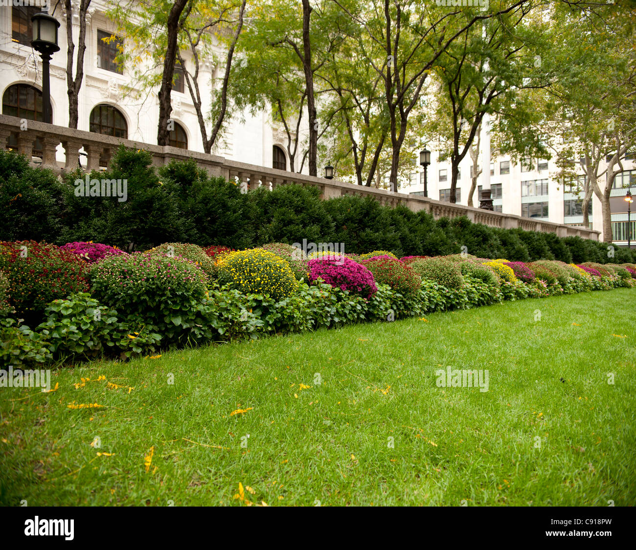 The flower beds outside the New York library offer a colourful autumn ...