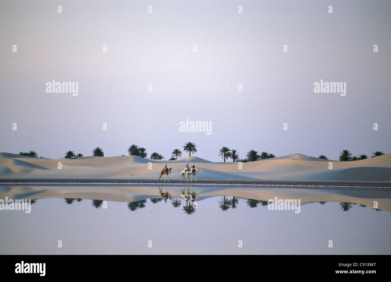 Algeria ouargla hi-res stock photography and images - Alamy