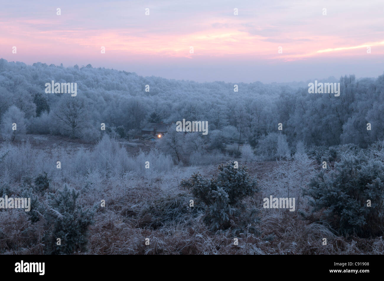 View of a hoar frost looking east over Woolbeding Common Stock Photo ...
