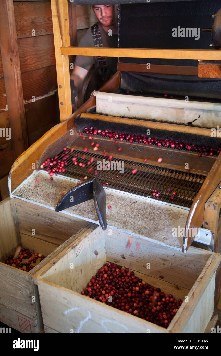 Sorting process hi-res stock photography and images - Alamy