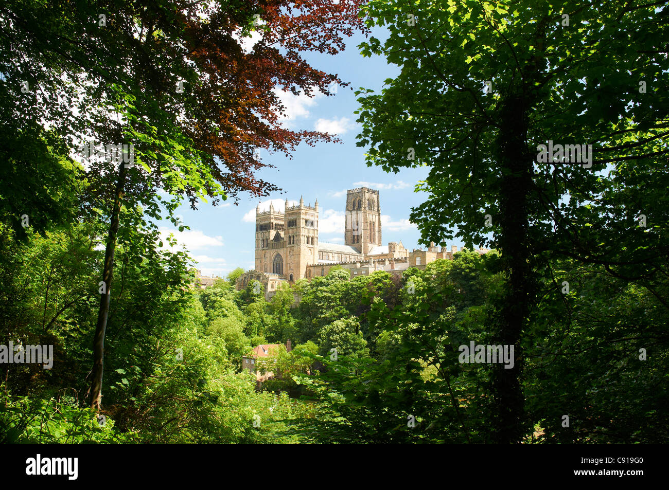 Durham riverbank hi-res stock photography and images - Alamy