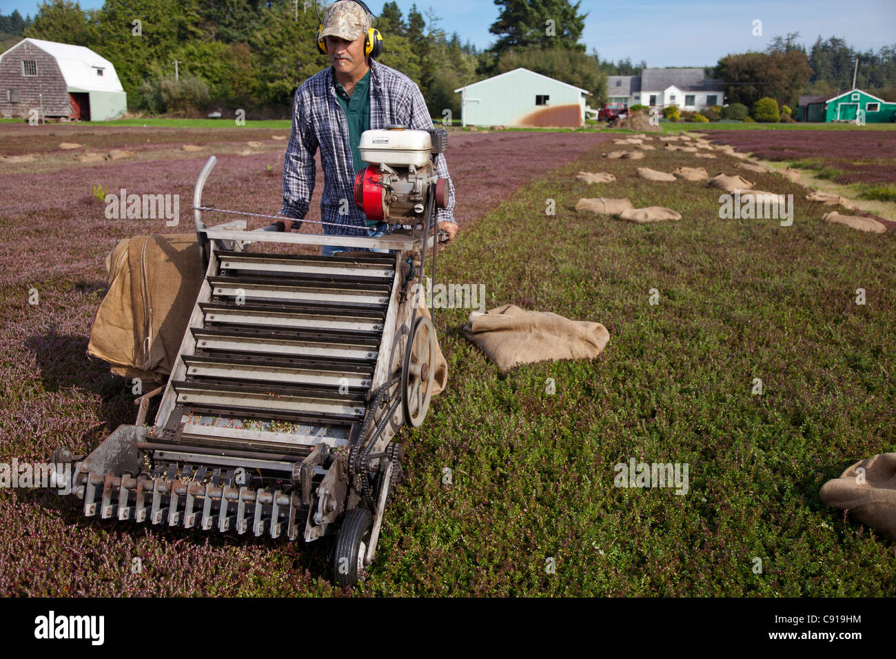 Berry harvester hi-res stock photography and images - Alamy