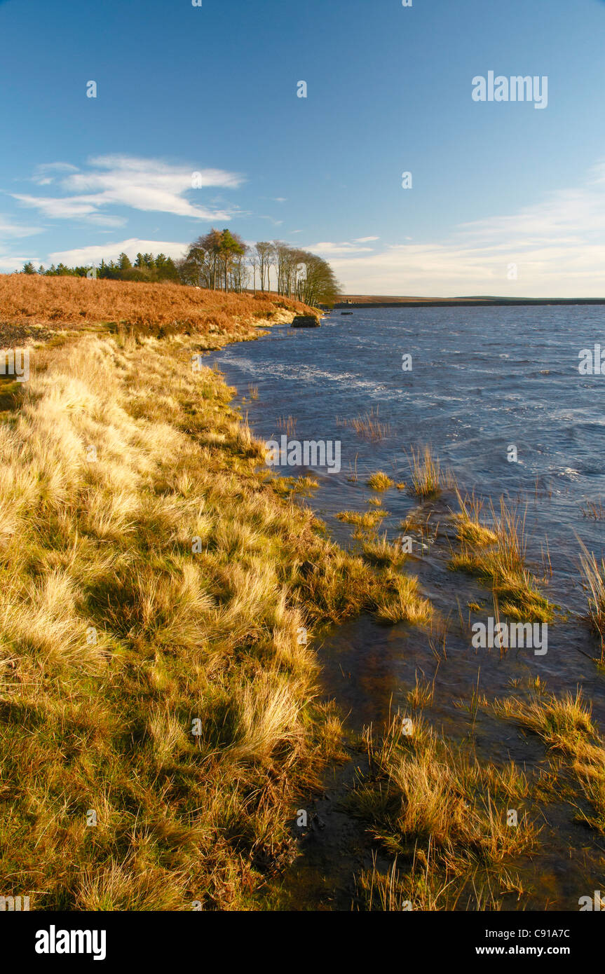 Waskerley reservoir, Waskerley Park, Durham moors Stock Photo - Alamy