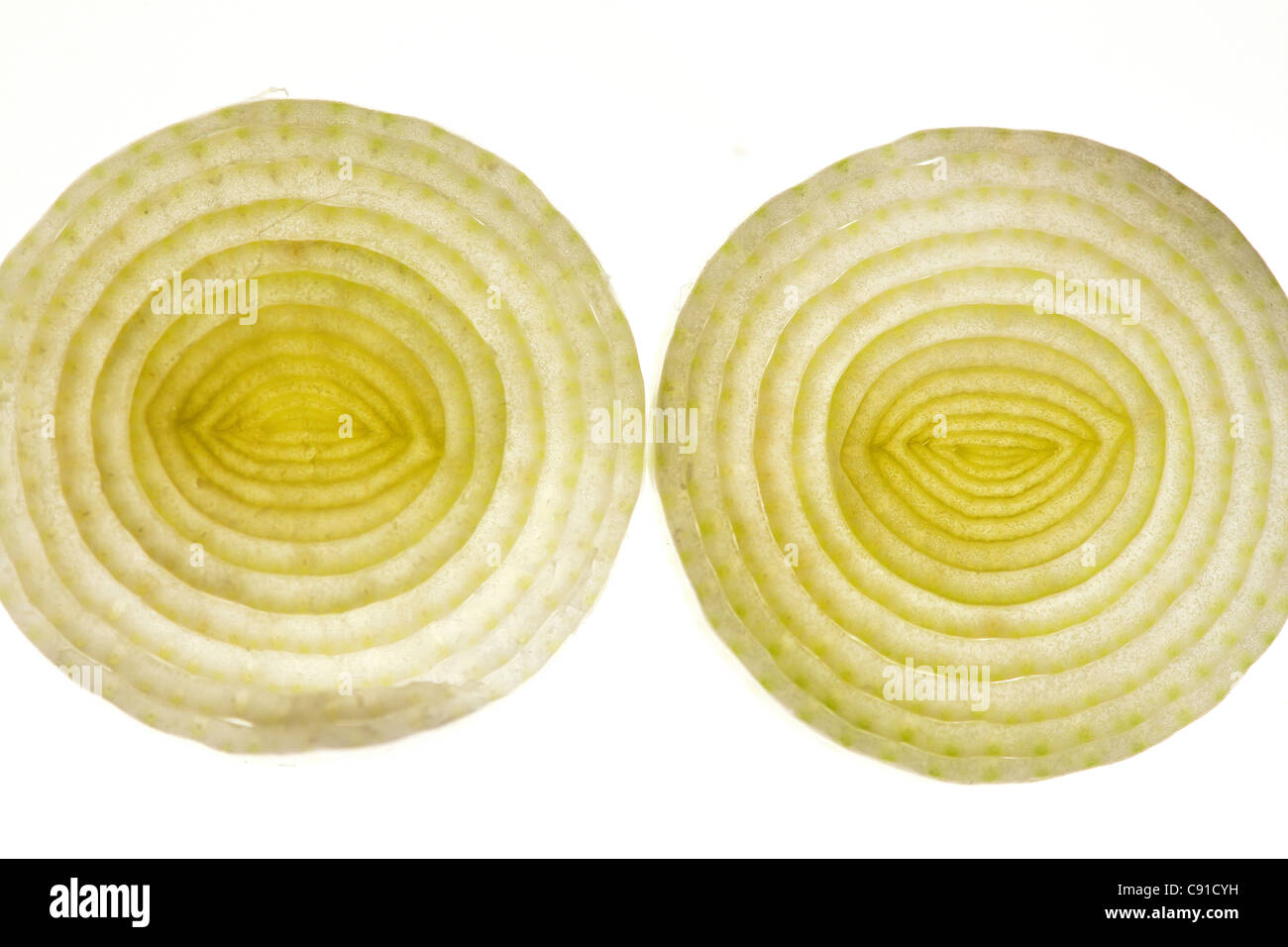 Leek slice hi-res stock photography and images - Alamy