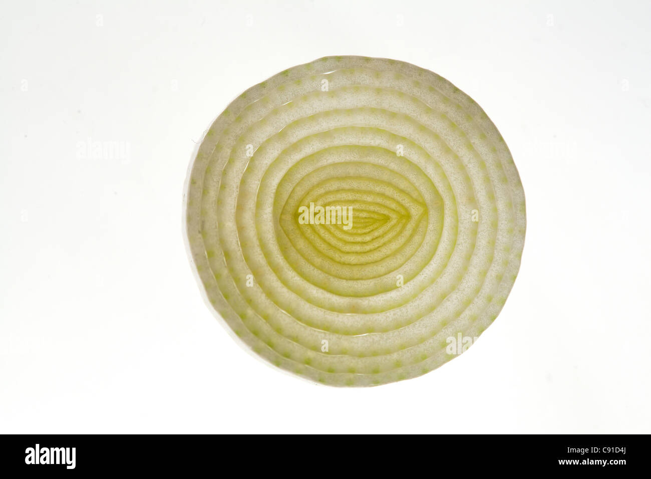 Leek slice hi-res stock photography and images - Alamy