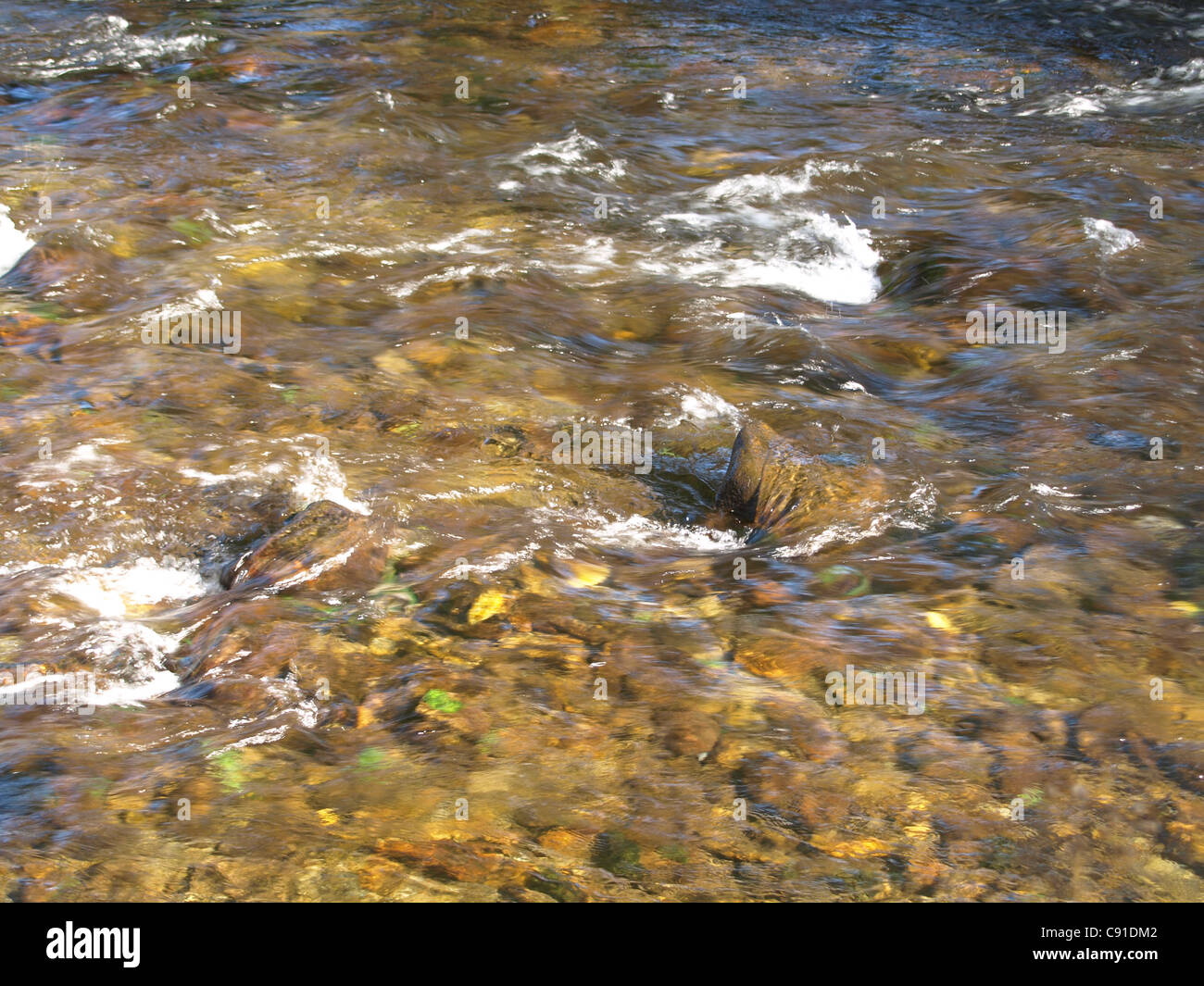 Fluss im wald hi-res stock photography and images - Alamy