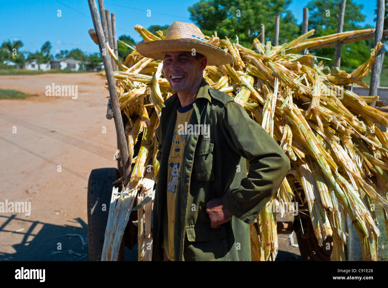 Cash crops hi-res stock photography and images - Alamy