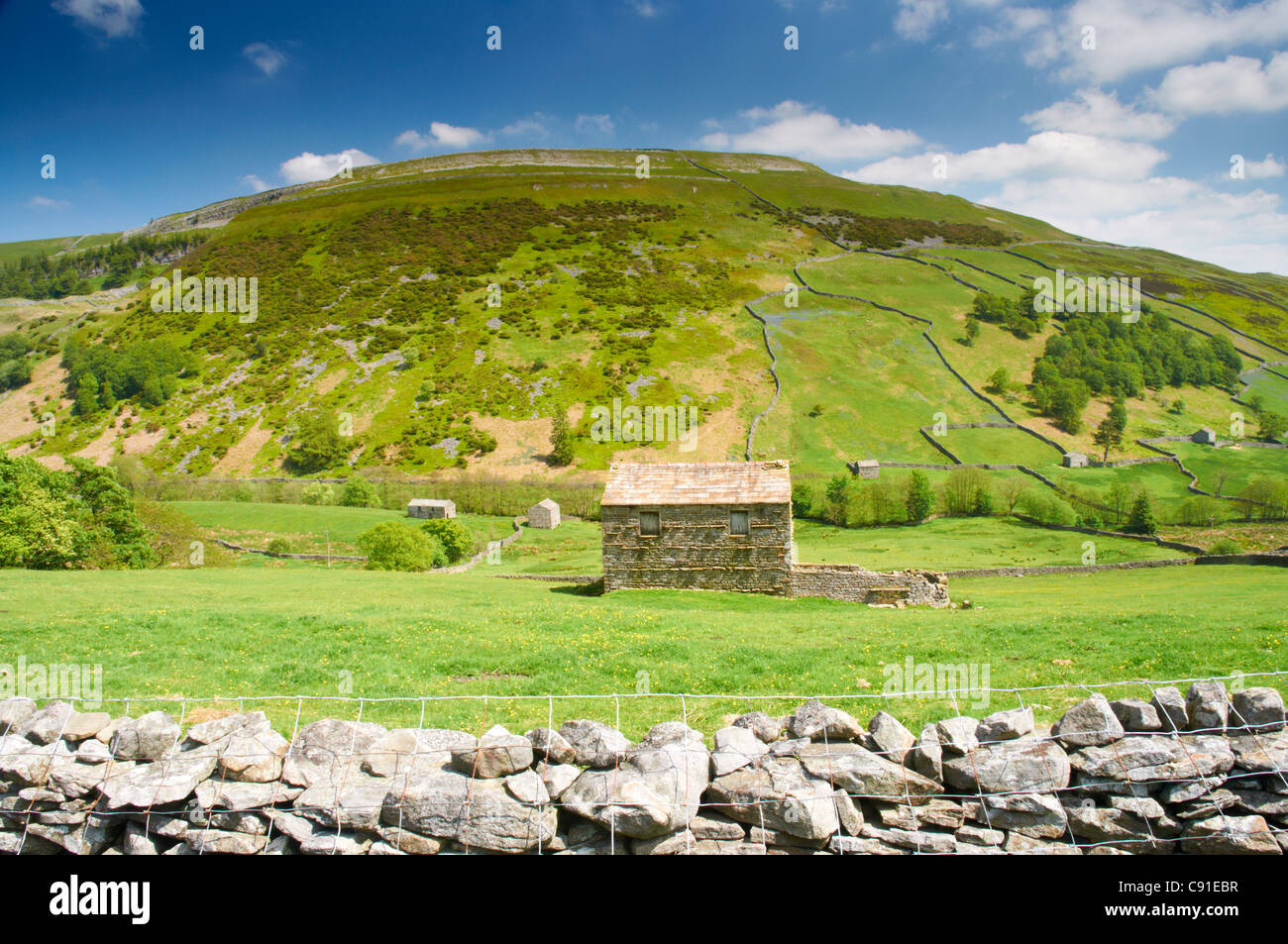 Areas of the Yorkshire Dales, particularly Swaledale, have well ...