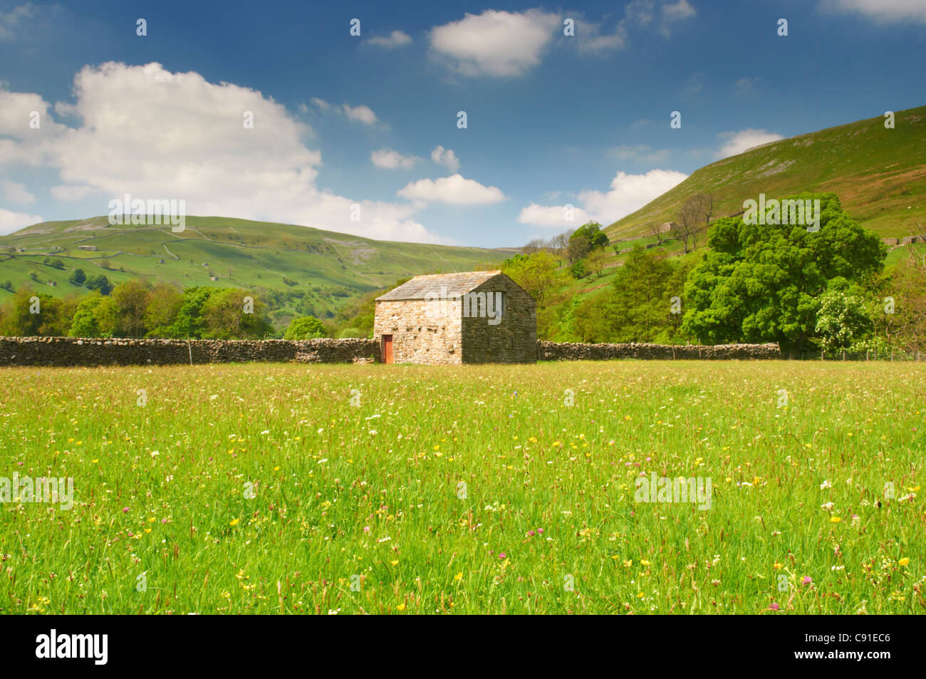 Areas of the Yorkshire Dales, particularly Swaledale, have well ...