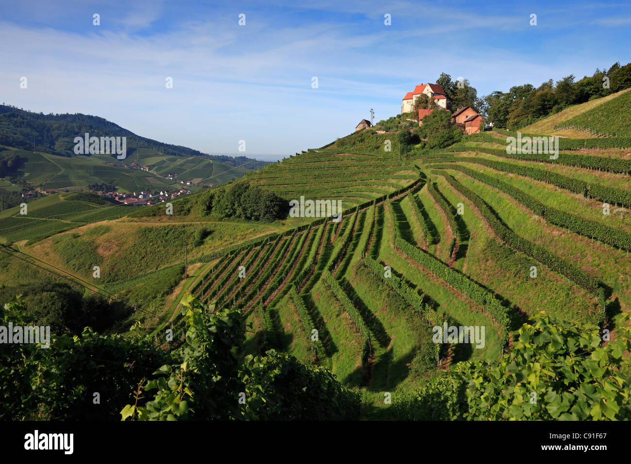 Staufenberg castle, near Durbach, Ortenau region, Black Forest, Baden ...