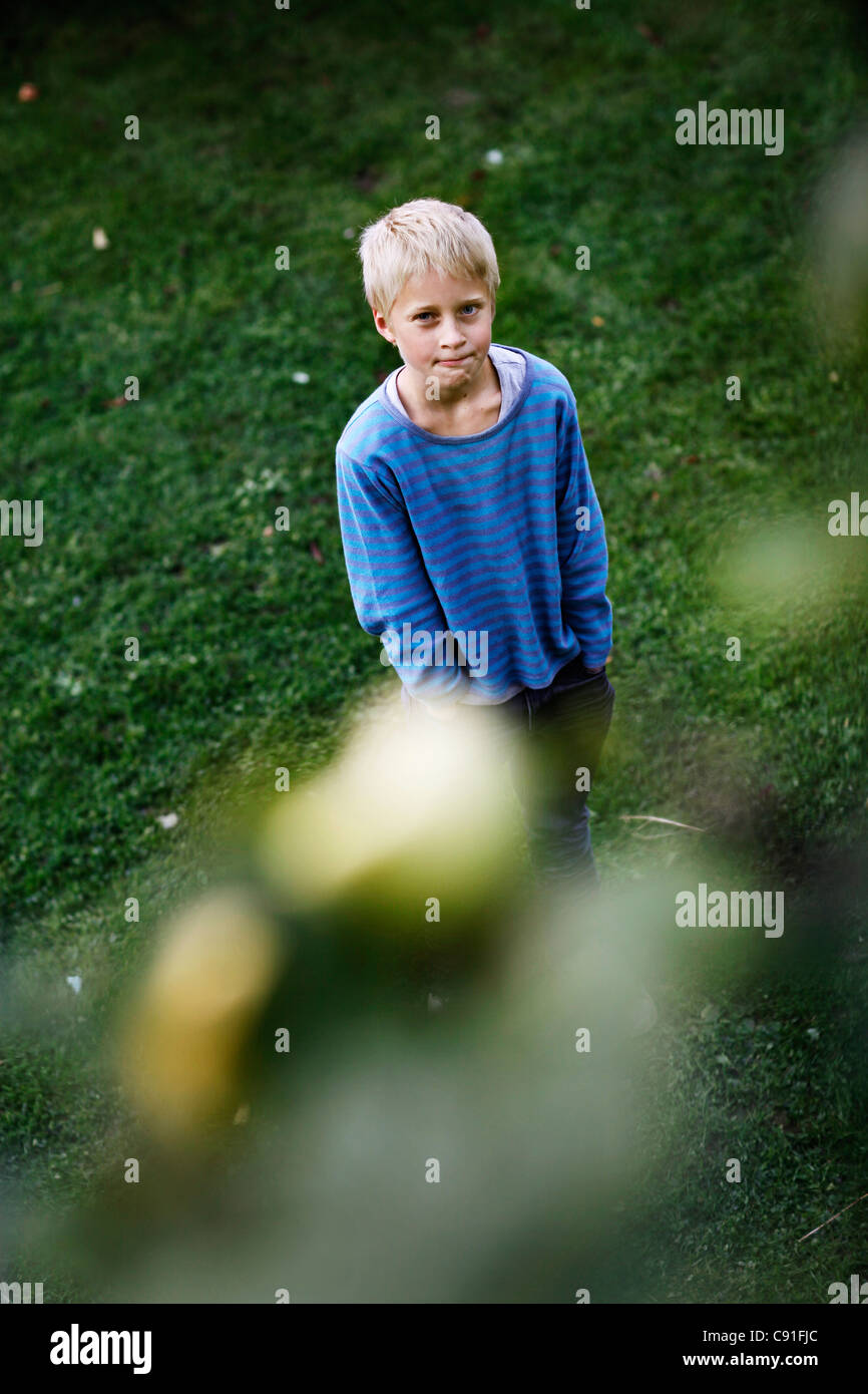 Boy admiring fruit in tree Stock Photo - Alamy