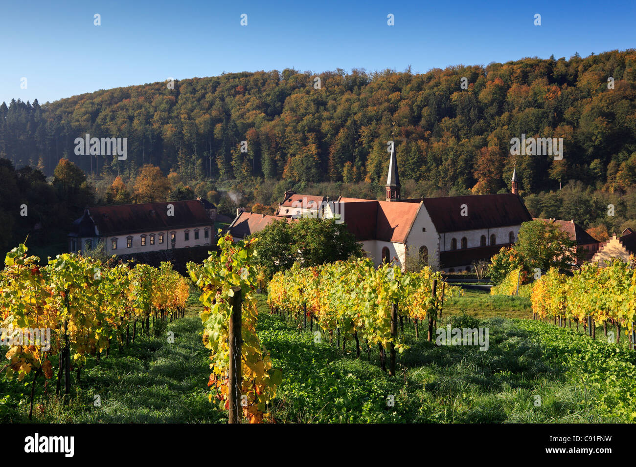 Vineyard with tauber valley and monastery bronnbach hi-res stock ...