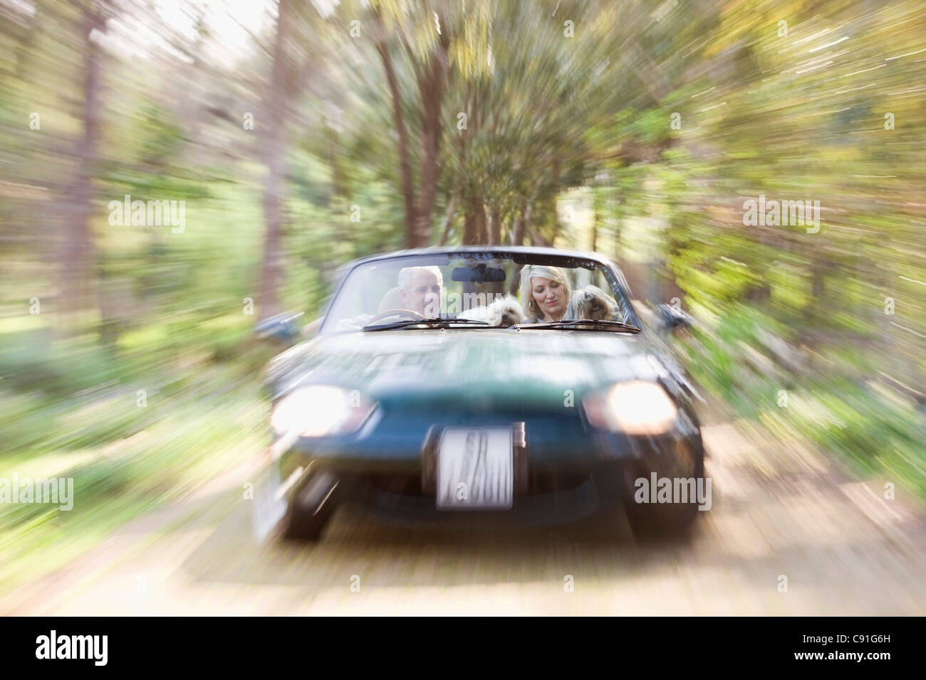 Dog driving convertible car hi-res stock photography and images - Alamy