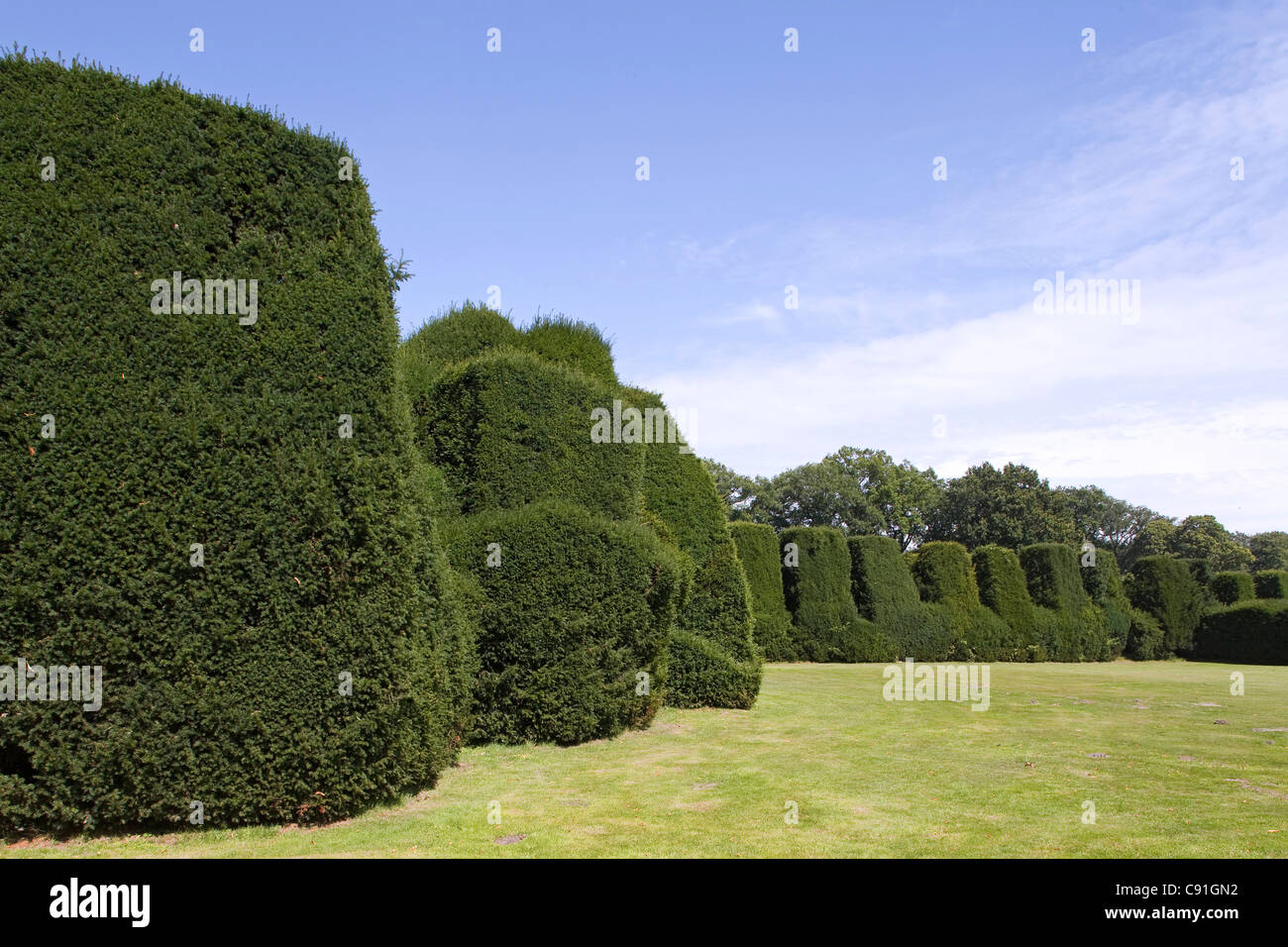 Yew hedges hi-res stock photography and images - Alamy