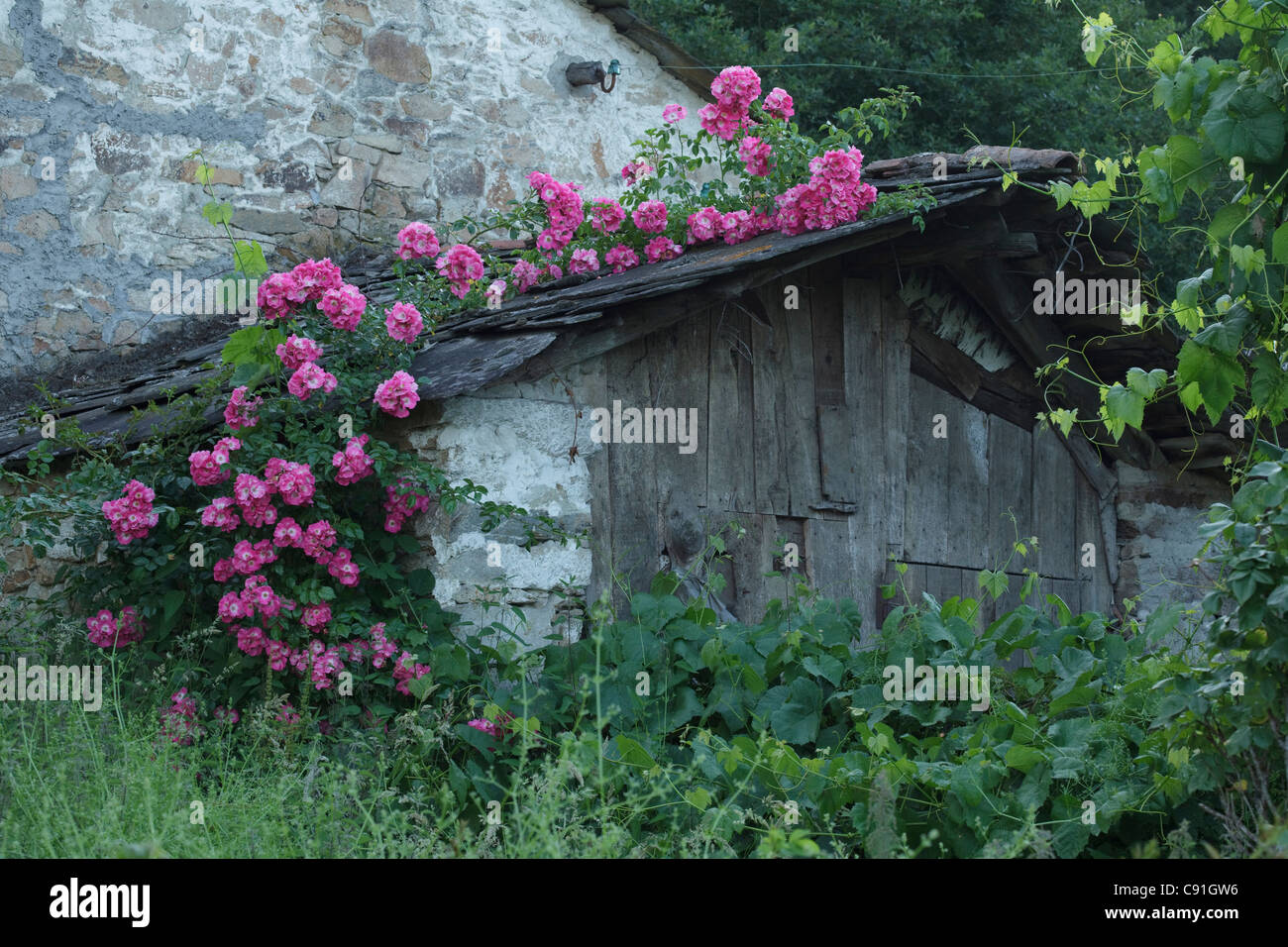 Camino pilgrims way sant hi-res stock photography and images - Alamy