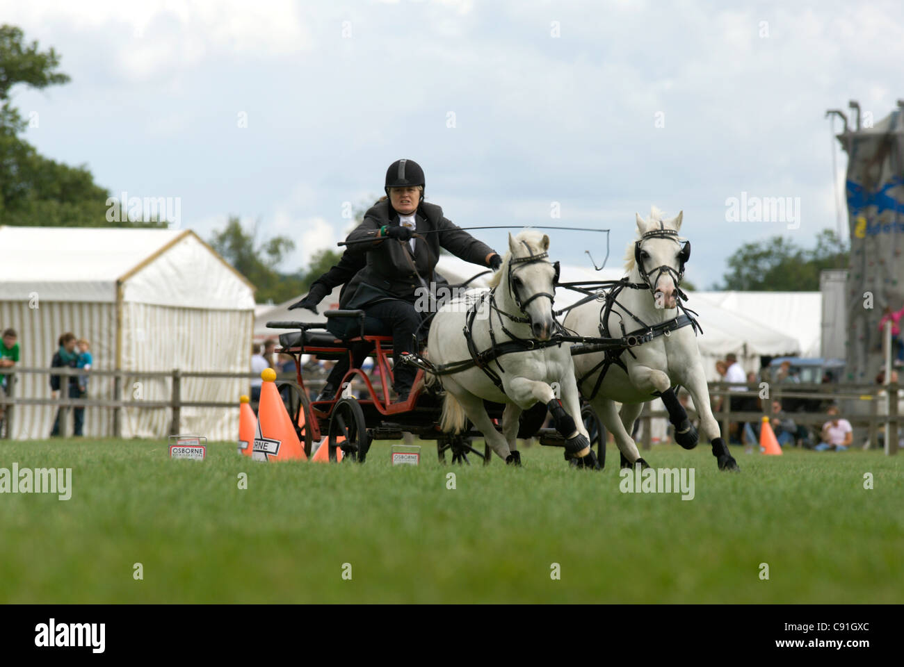 Pony driving competition hi-res stock photography and images - Alamy