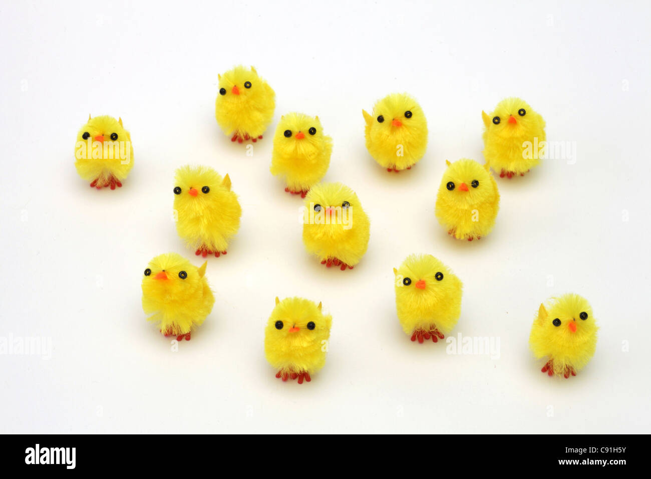Twelve little fake chickens on a white background Stock Photo - Alamy
