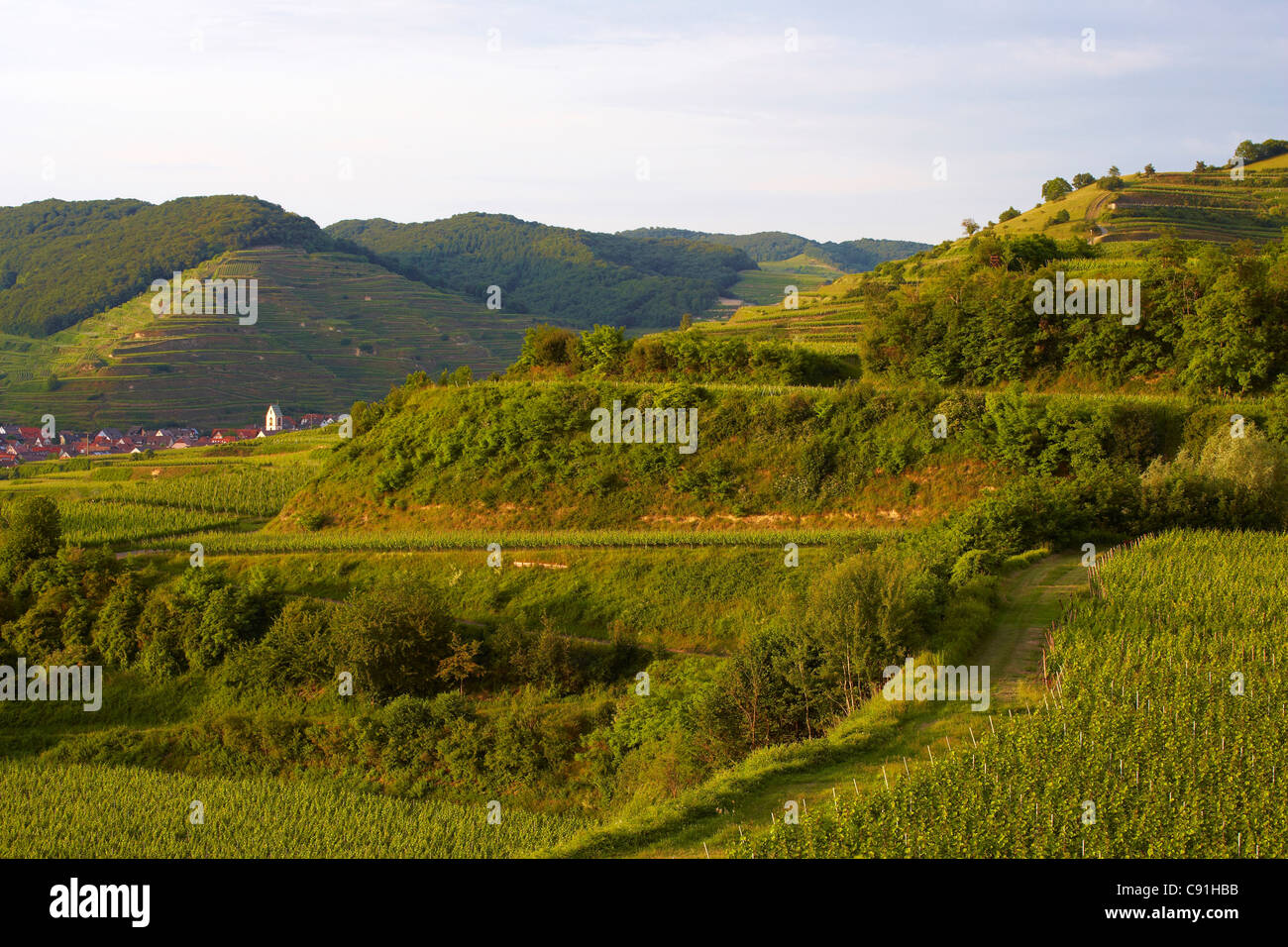 Germany kaiserstuhl village oberbergen hi-res stock photography and ...