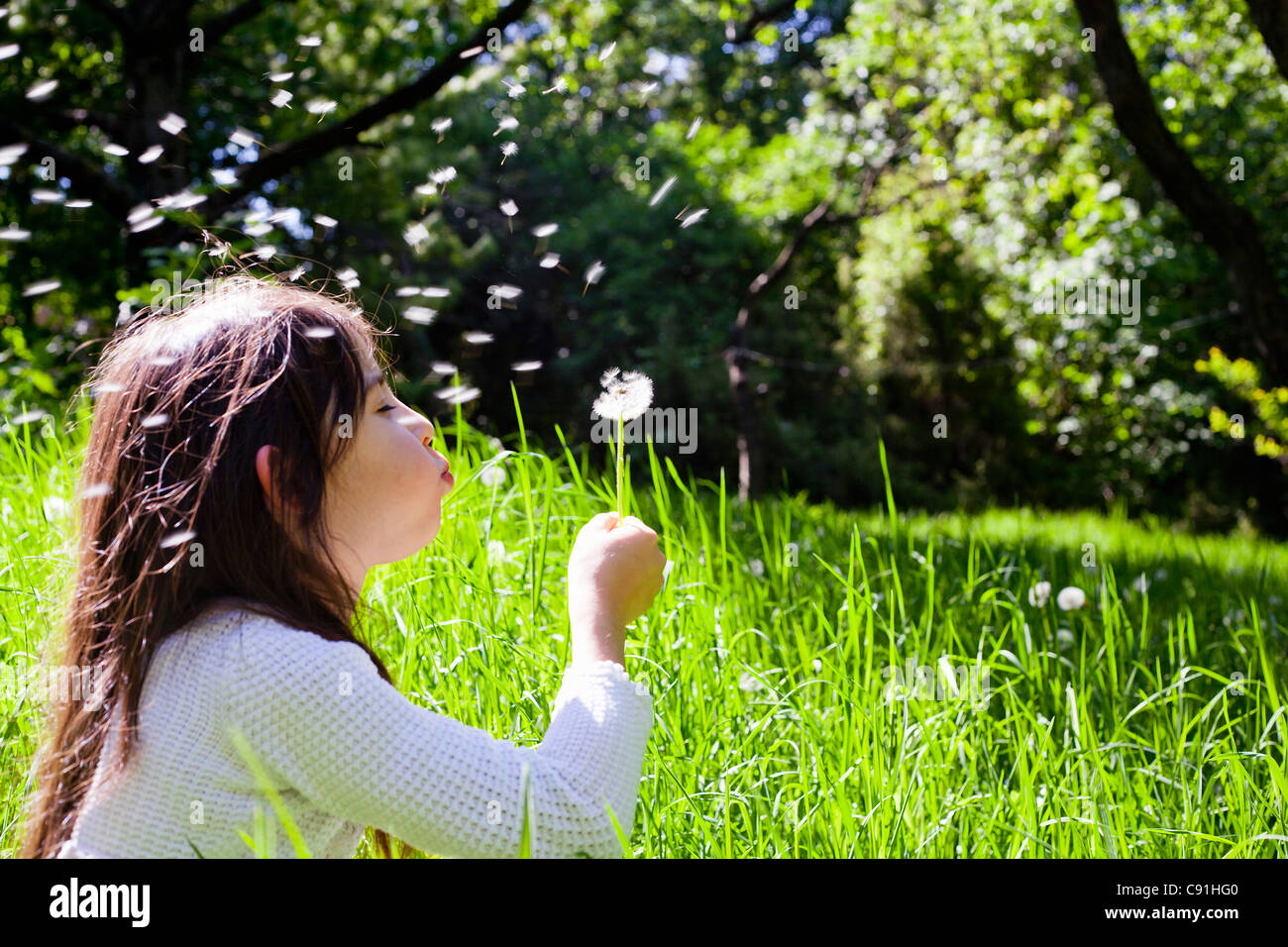 Girl blowing dandelion outdoors Stock Photo - Alamy
