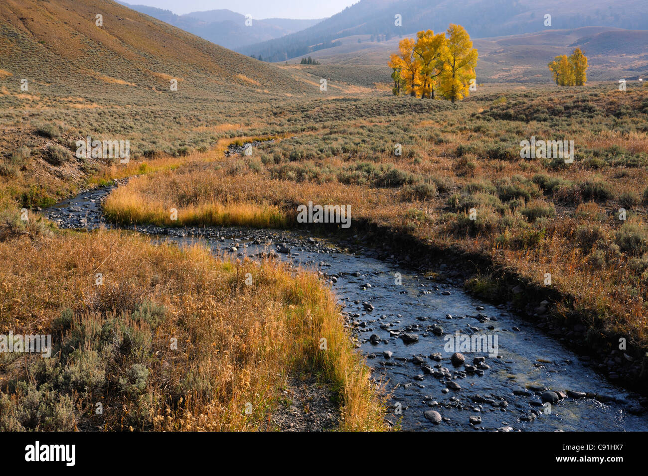 Lamar Valley, Yellowstone NP, Wyoming (Estados Unidos Stock Photo - Alamy