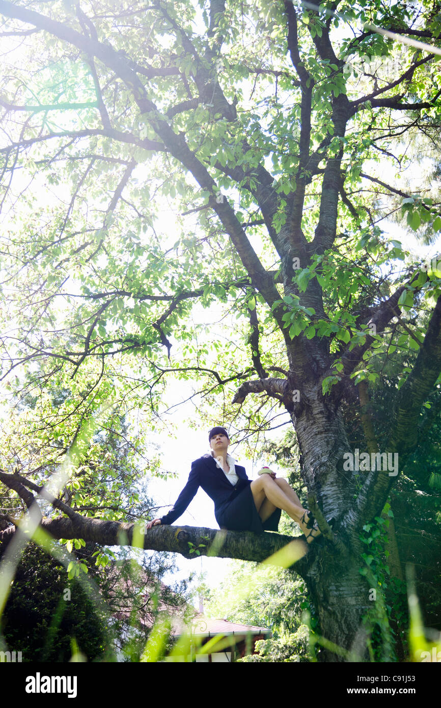 Businesswoman sitting in tree Stock Photo - Alamy