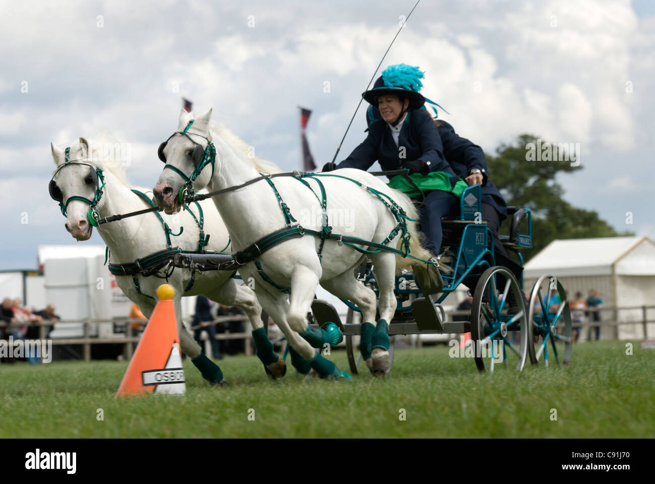 A determined competitor in the scurry driving competition at the ...