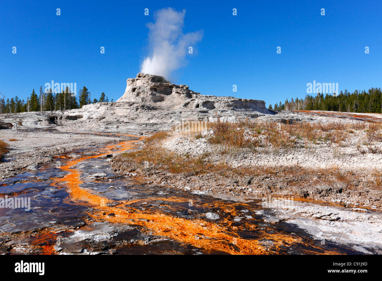 The castle geyser upper geyser basin yellowstone national park hi-res stock photography and ...