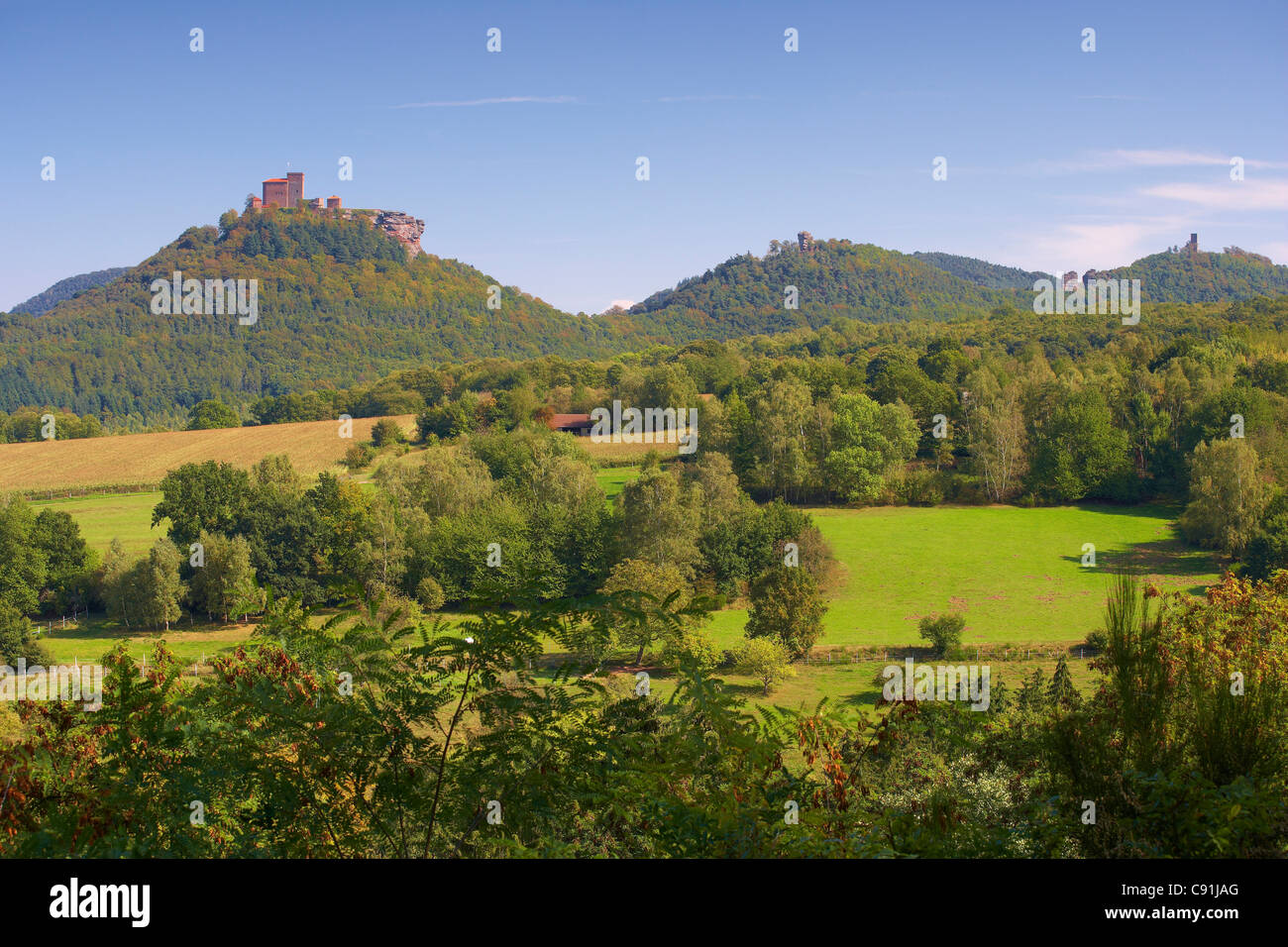 Trifels castle near Annweiler, Pfaelzerwald, Rhineland-Palatinate ...