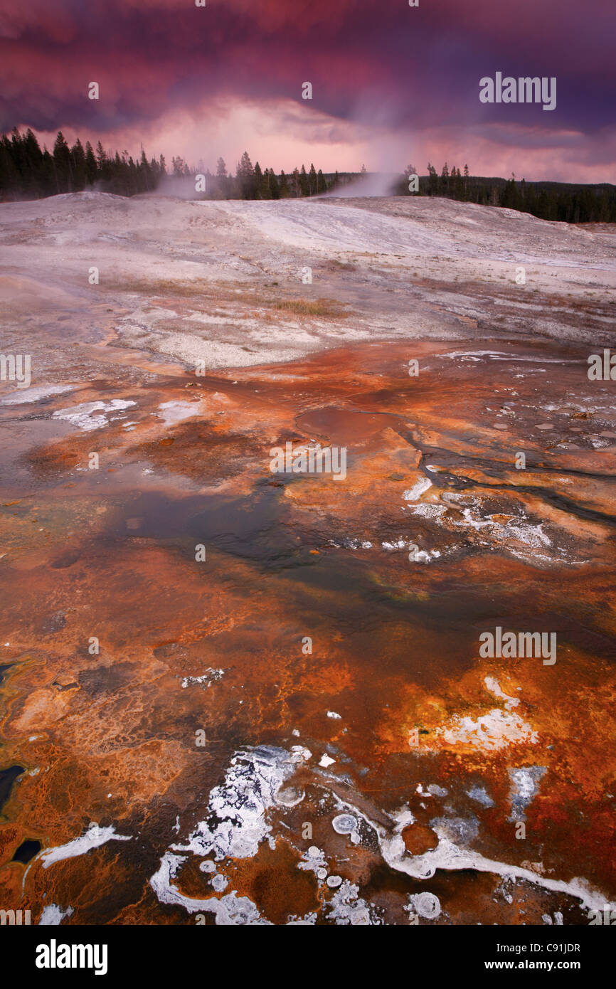 Colors of thermophilic bacteria at Upper Geyser Basin, Yellowstone ...