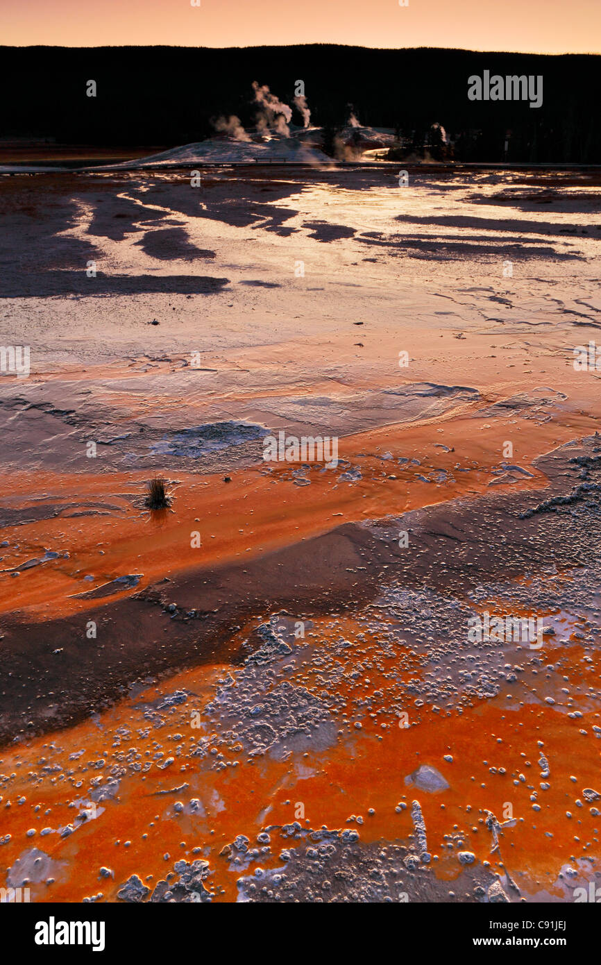 Colors of thermophilic bacteria at Upper Geyser Basin, Yellowstone ...