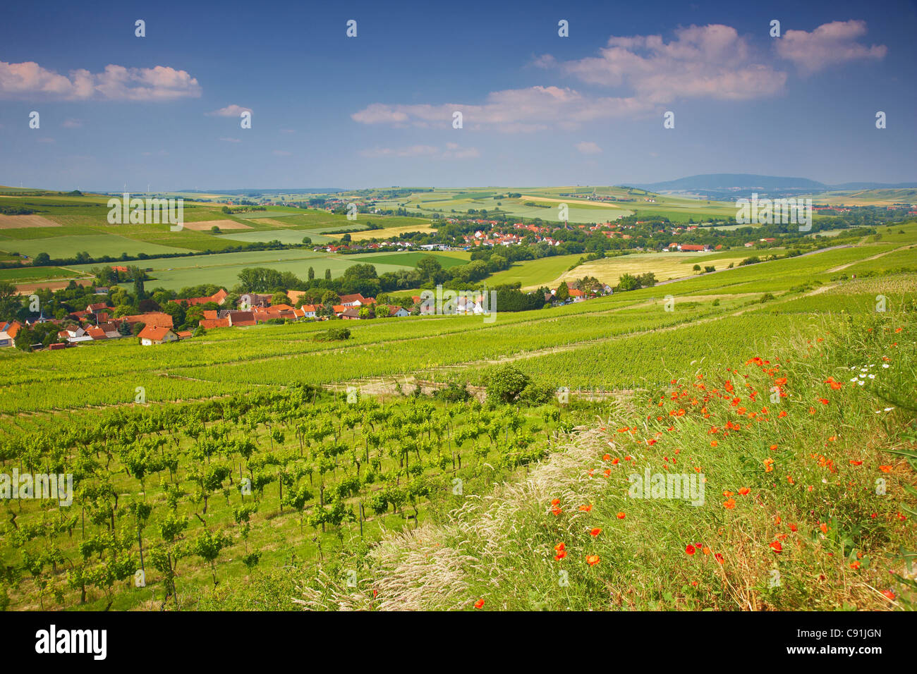 Rhenish region hi-res stock photography and images - Alamy