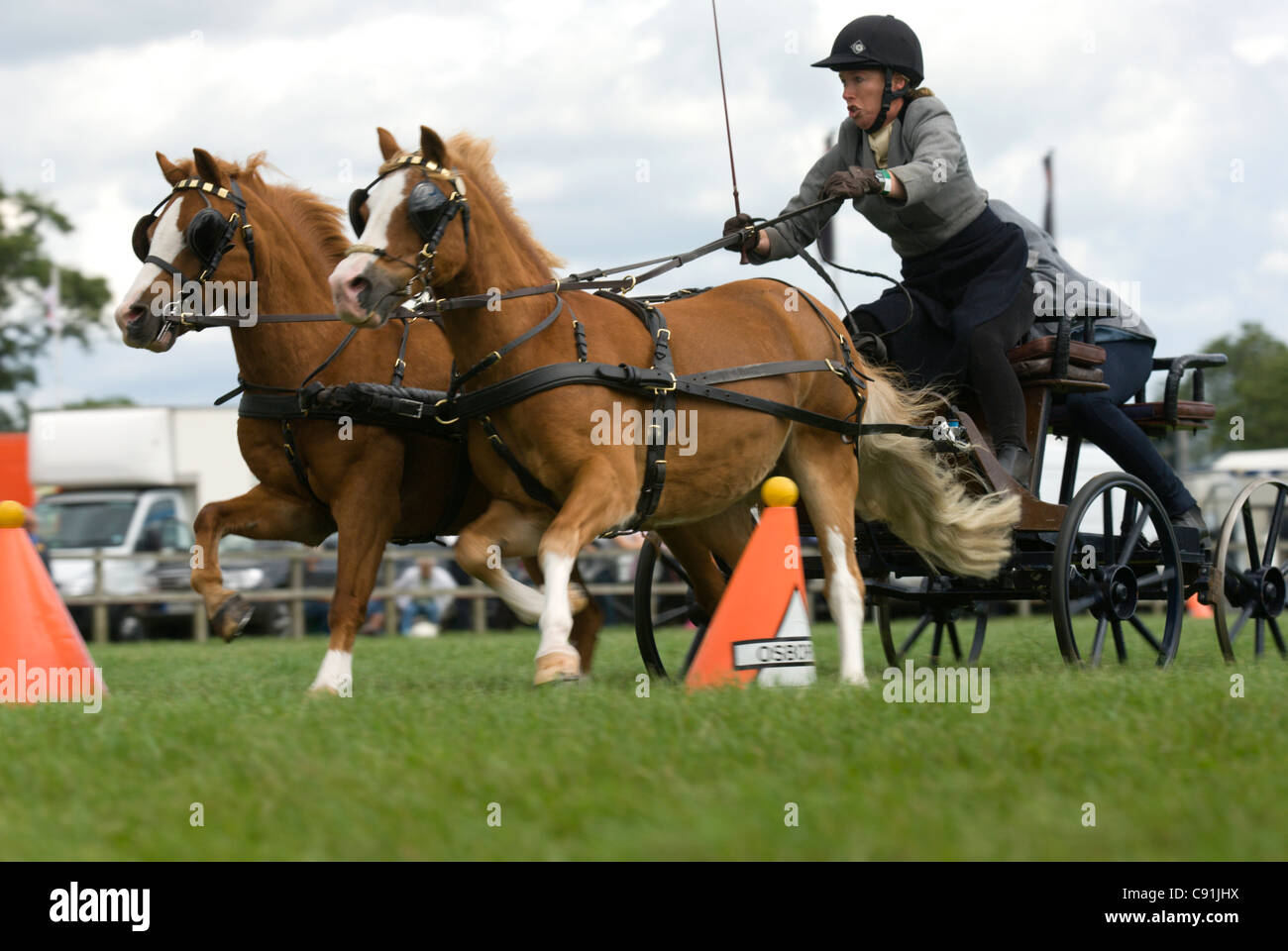 A determined competitor in the scurry driving competition at the ...