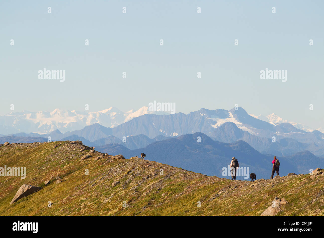 two hikers and dogs hiking on Heney Ridge Trail, Chugach National ...