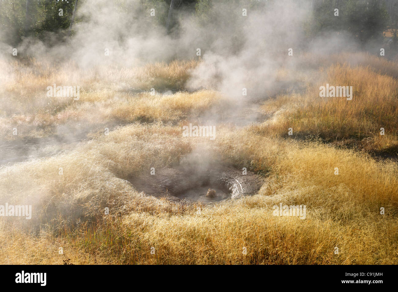 Steam from hot spring hi-res stock photography and images - Alamy
