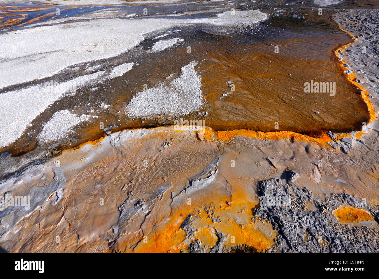 Thermophilic bacteria hi-res stock photography and images - Alamy
