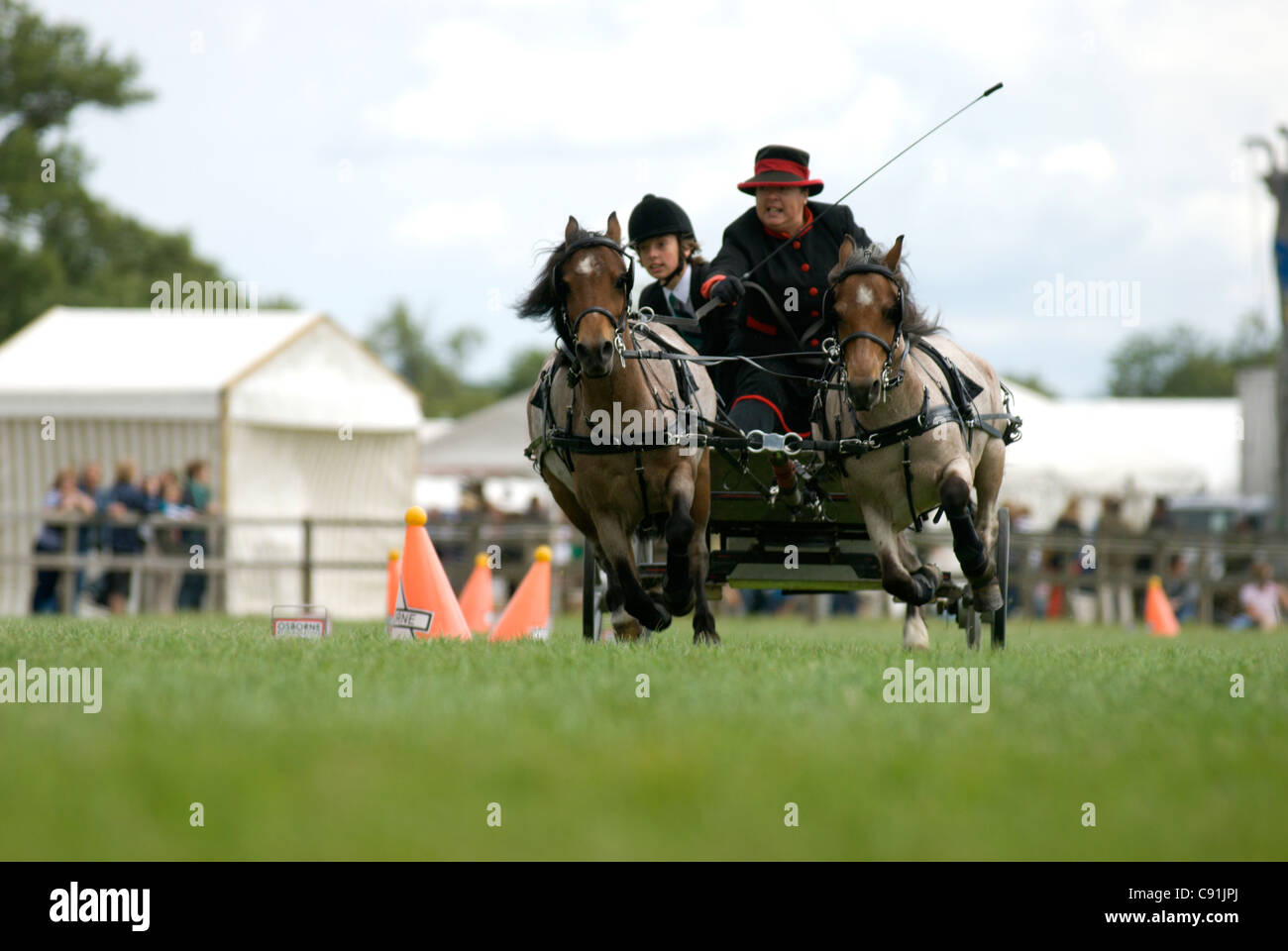 An image captures the speed and movement of the scurry driving ...