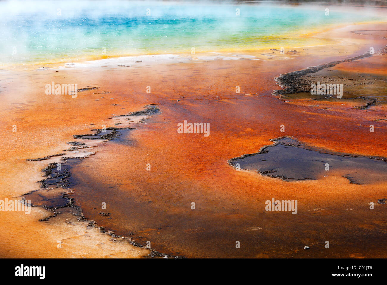 Colors of thermophilic bacteria at Grand Prismatic Spring, Yellowstone ...
