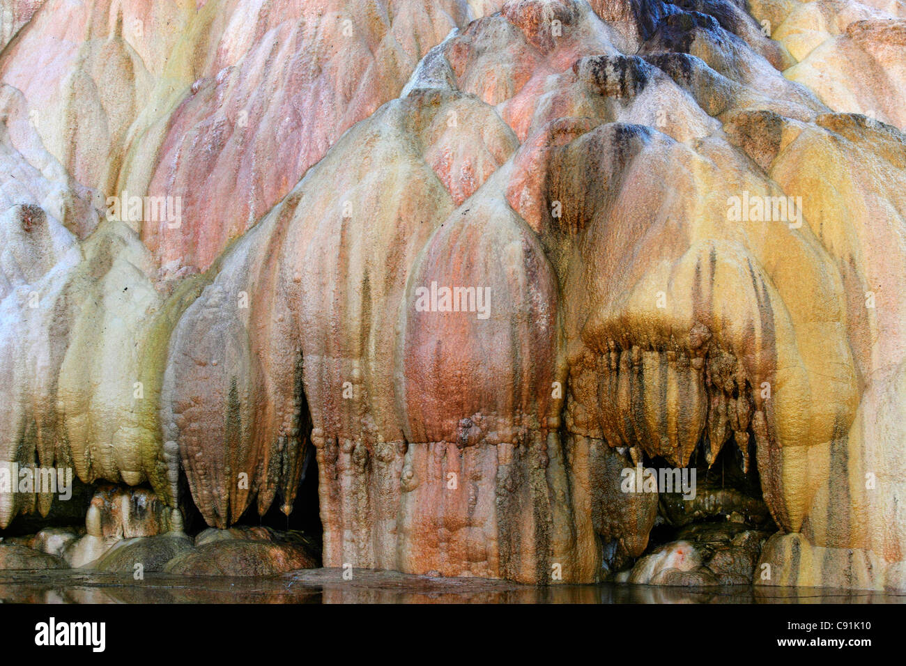 Cleopatra Terrace, Mammoth Hot Springs, Yellowstone National Park Stock ...